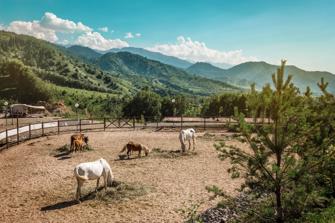 Horseback riding in the mountains of Almaty - horse riding in Oi-Qaragai